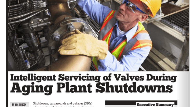 Planning and Tools for Successful Shutdowns, Turnarounds and Outages