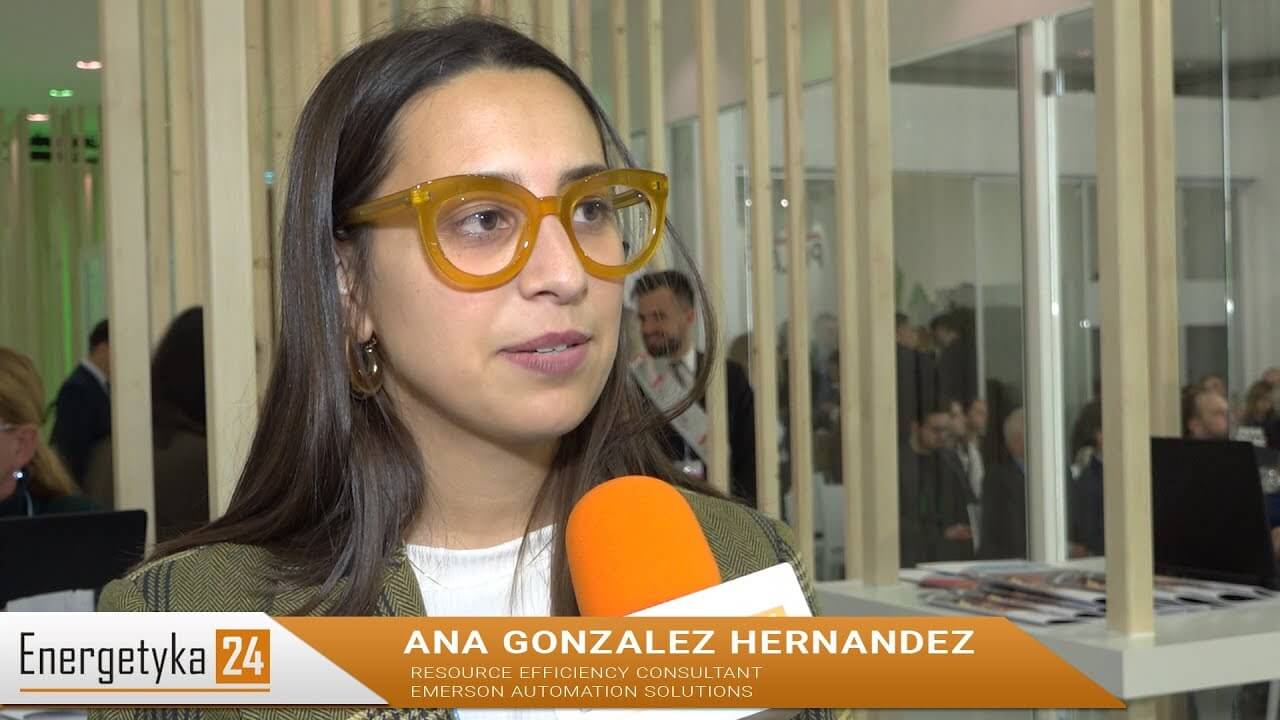 Ana Gonzalez Hernandez Archives - Emerson Automation Experts