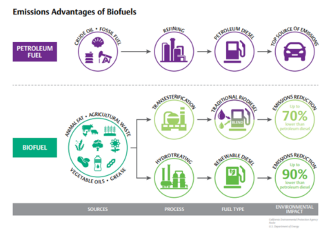 Renewable Diesel 101