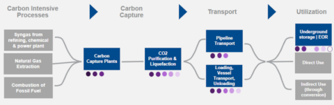 Optimizing Carbon Capture and Storage Processes