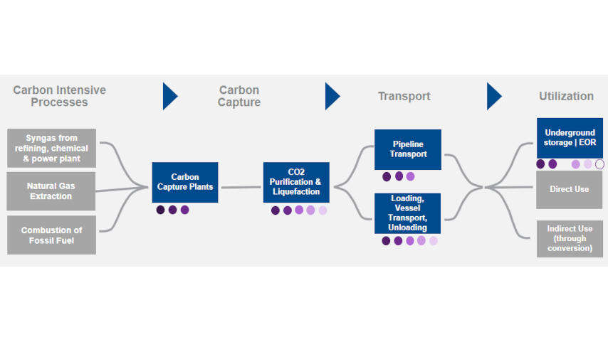 Optimizing Carbon Capture and Storage Processes