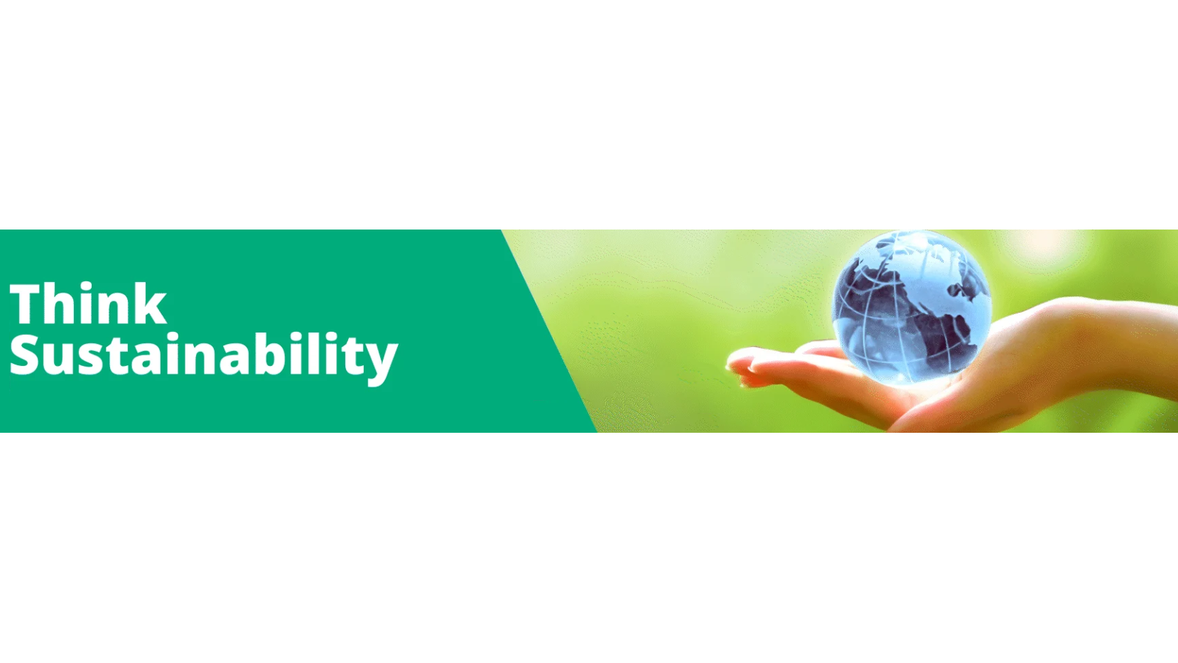 Using Sustainable Initiatives to Achieve Decarbonization Goal